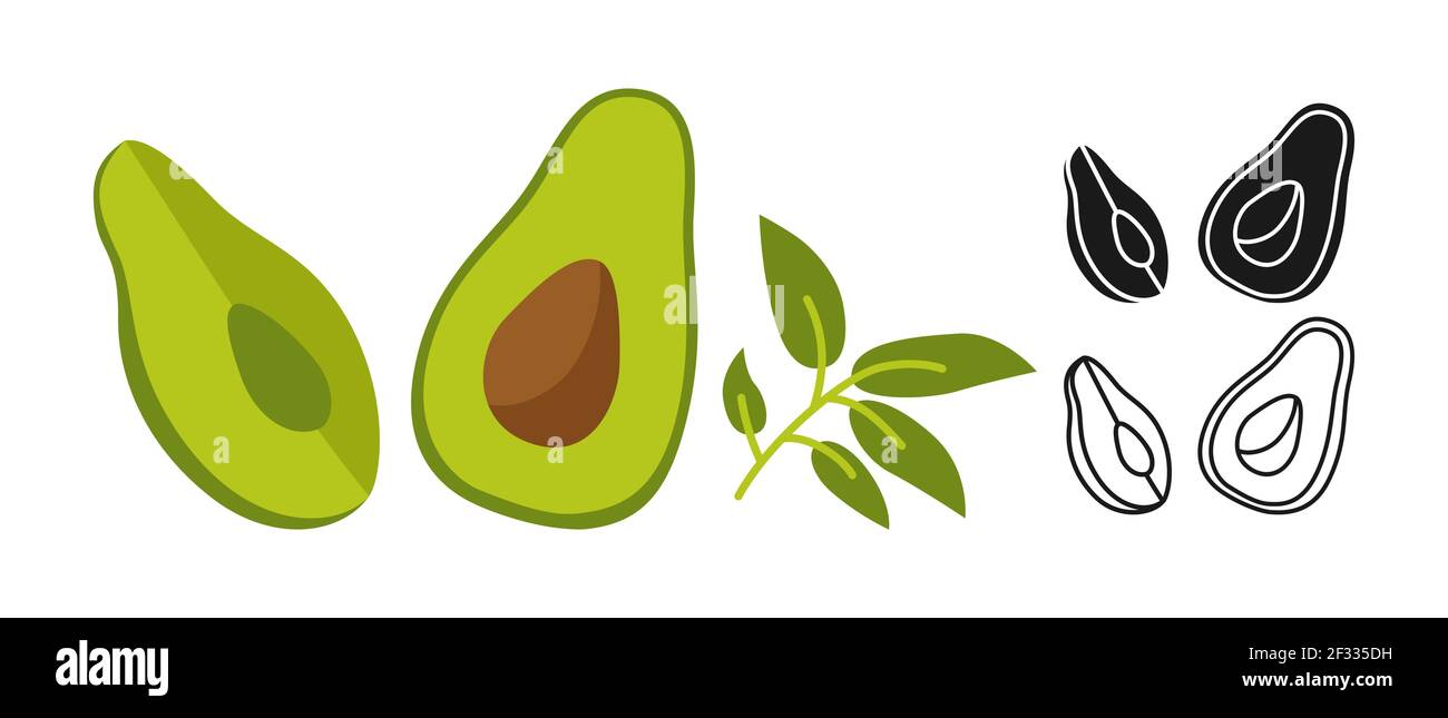 Avocado cartoon set line icon, black glyph style. Avocados green fruit ...