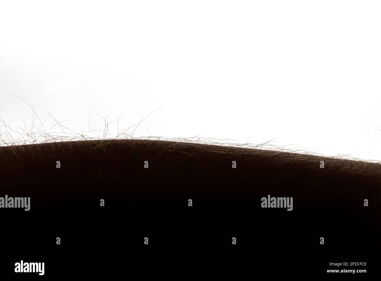 raised hair on the arm as the sign of emotion feelings, excited and ...