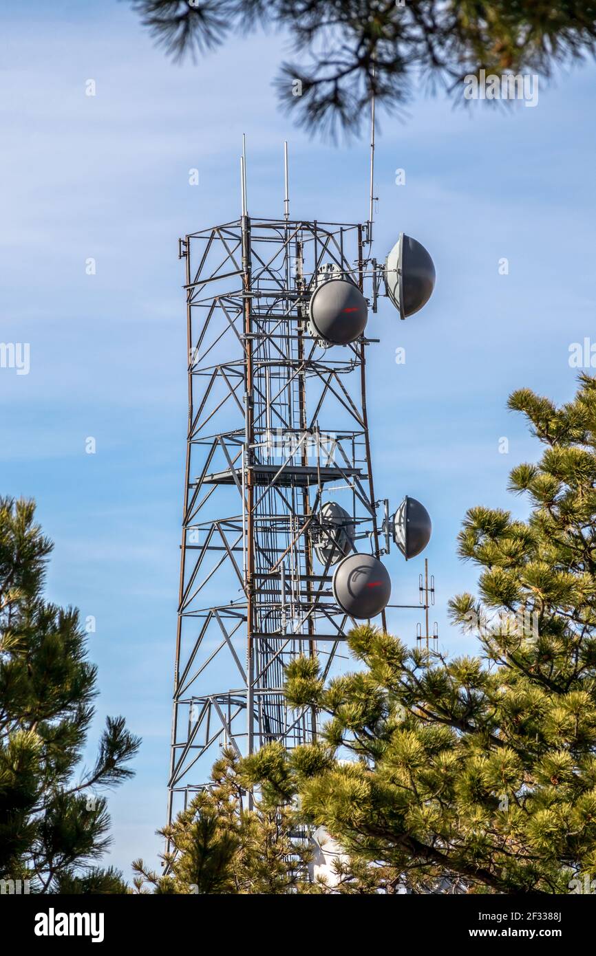 Communication tower with pine trees and the mountain ridge in the ...