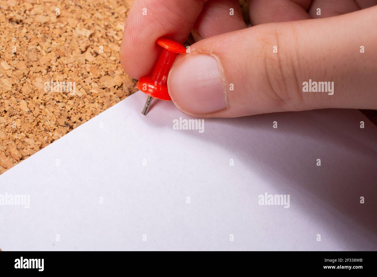 white paper background and pin Stock Photo - Alamy