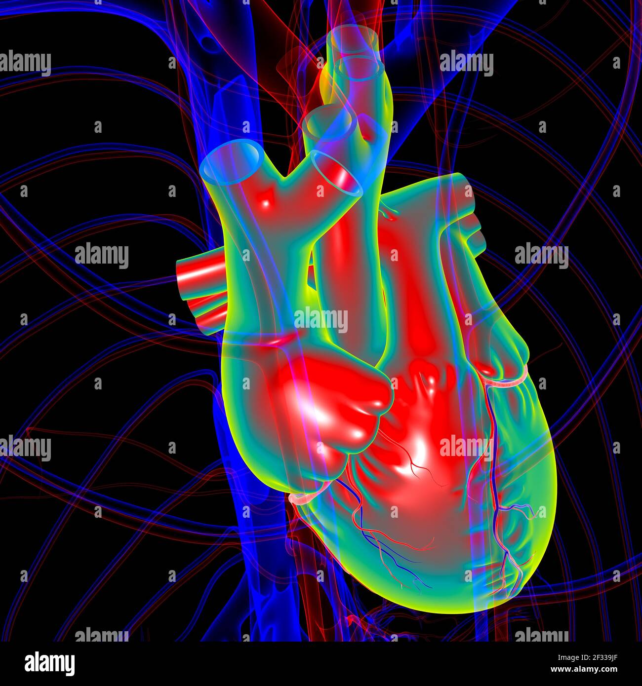 Human Heart Anatomy For Medical Concept 3D Illustration Stock Photo - Alamy