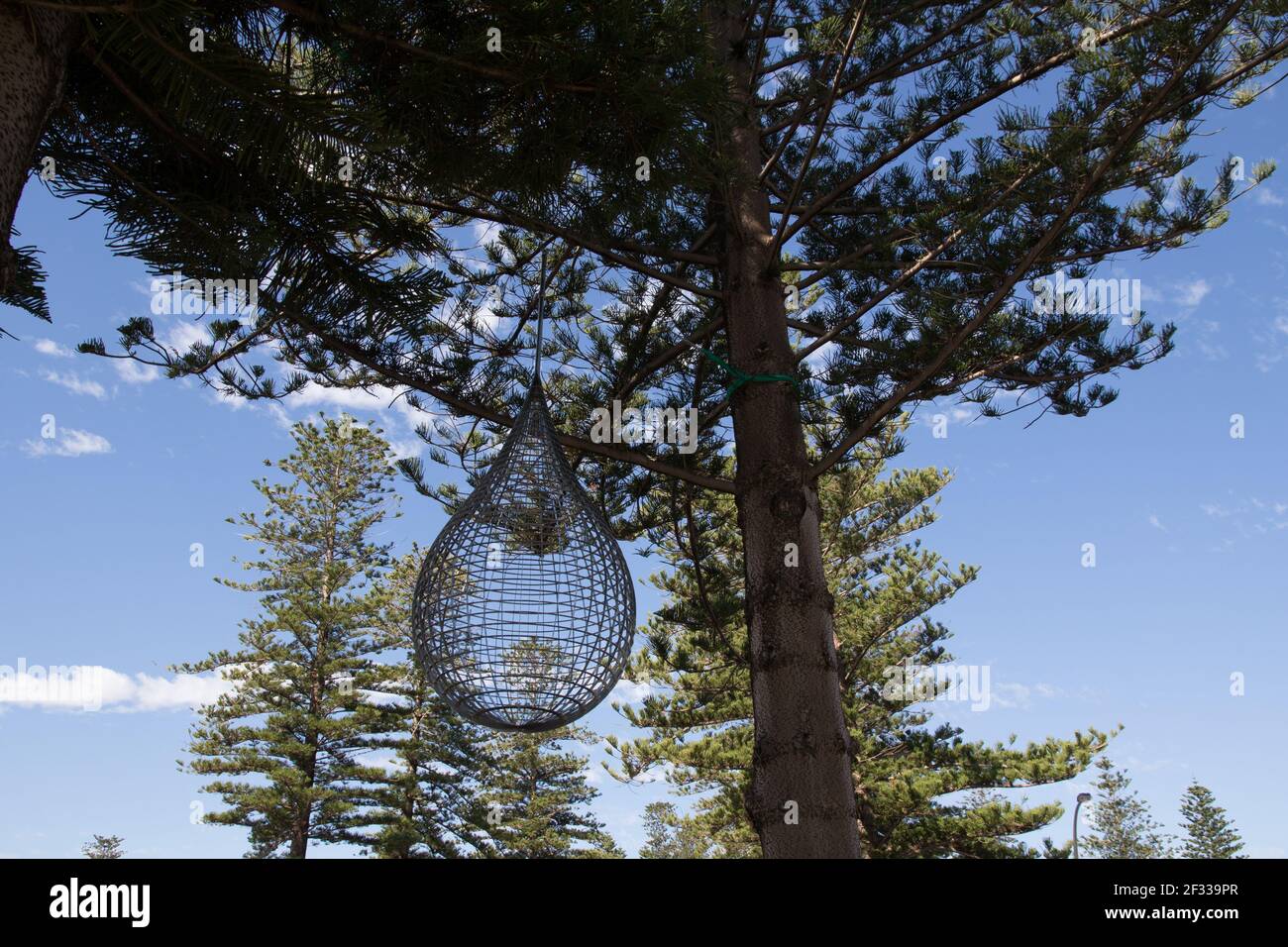 Teardrop Shaped Basket Sculpture Hanging in Tree Stock Photo - Alamy