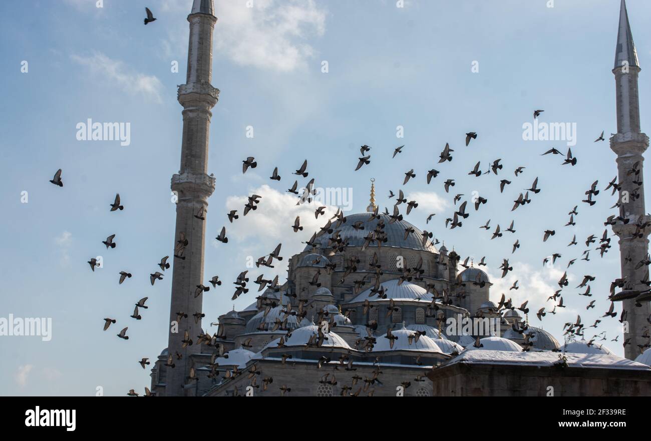 Pigeon flying around the mosque minarets Stock Photo - Alamy