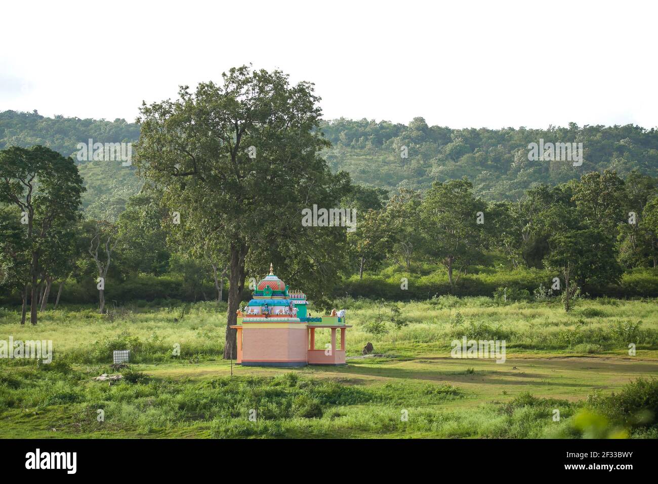 Natural mountainscape in kodikuthimala, Kerala India Stock Photo - Alamy