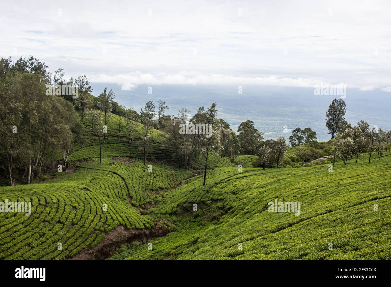Natural mountainscape in kodikuthimala, Kerala India Stock Photo - Alamy