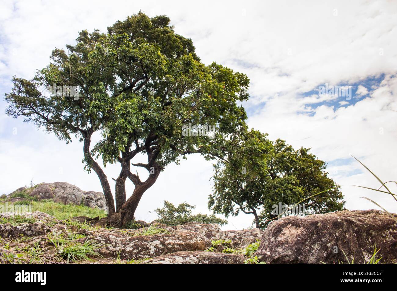 Natural mountainscape in kodikuthimala, Kerala India Stock Photo - Alamy