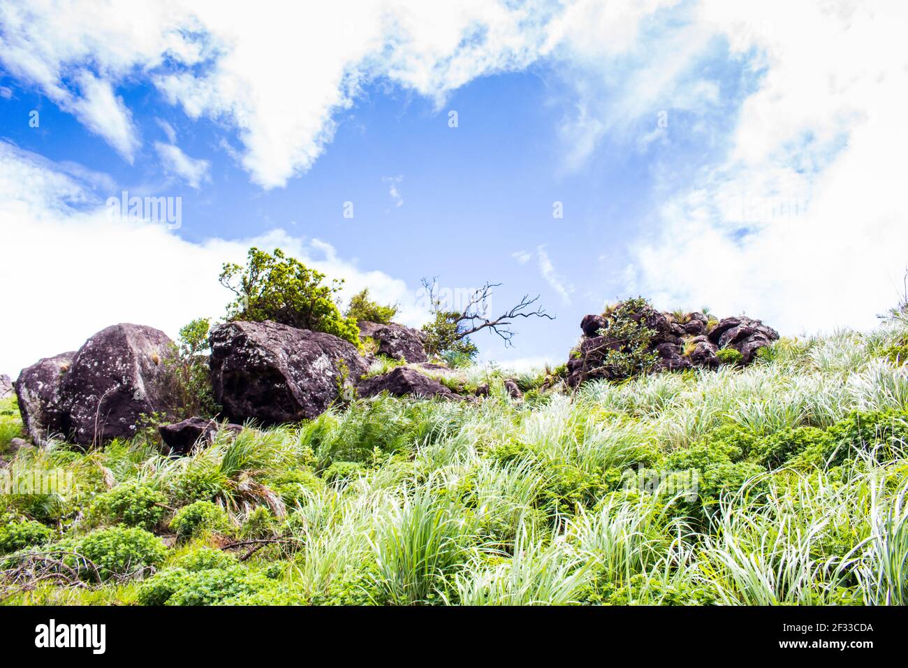 Natural mountainscape in kodikuthimala, Kerala India Stock Photo - Alamy