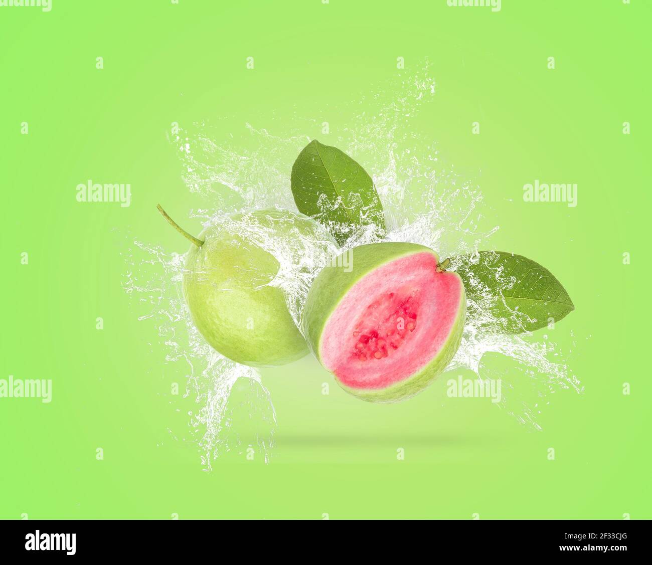 Water splashing on Green guava fruit over green background Stock Photo ...