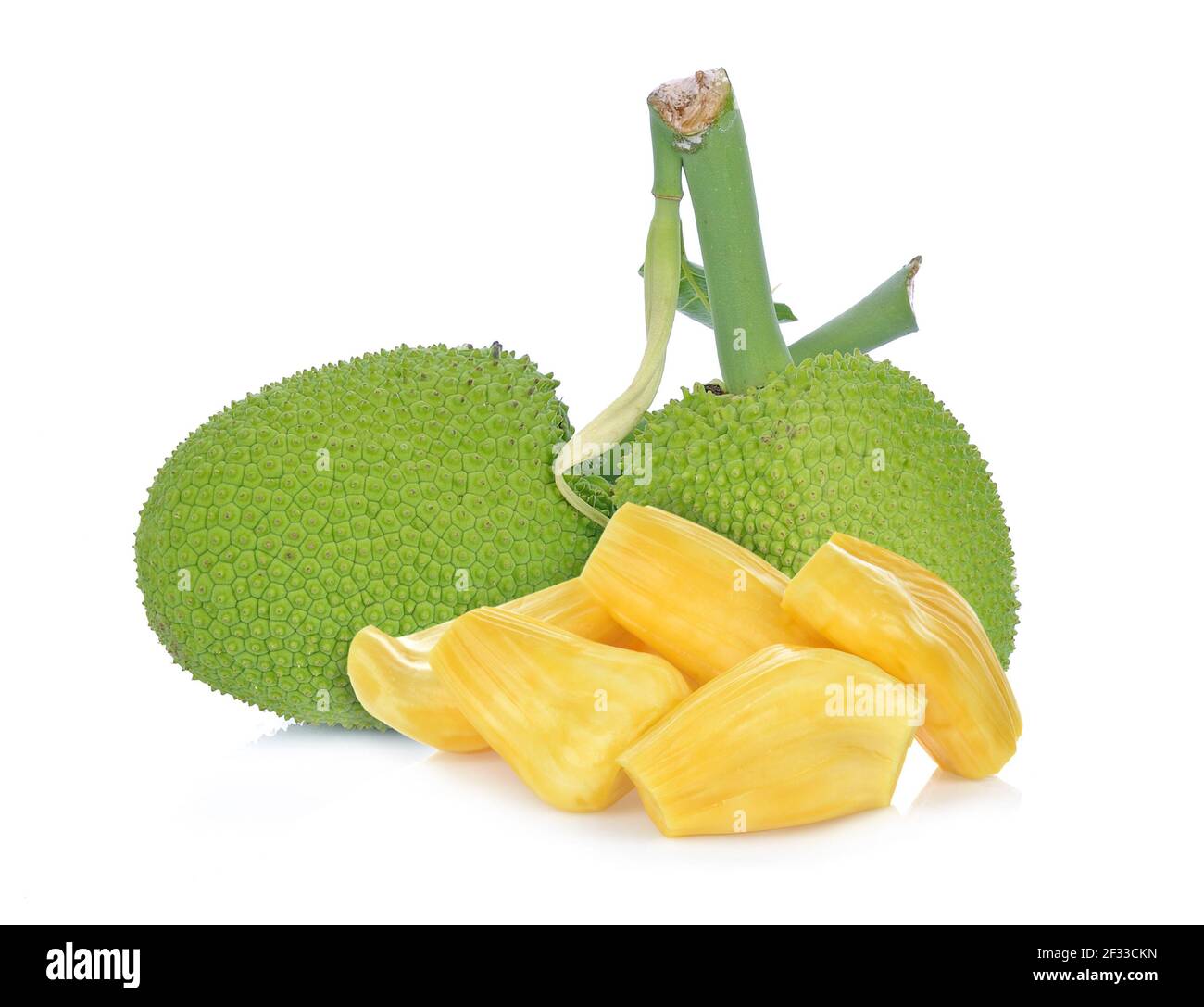 Jackfruit isolated on white background Stock Photo - Alamy
