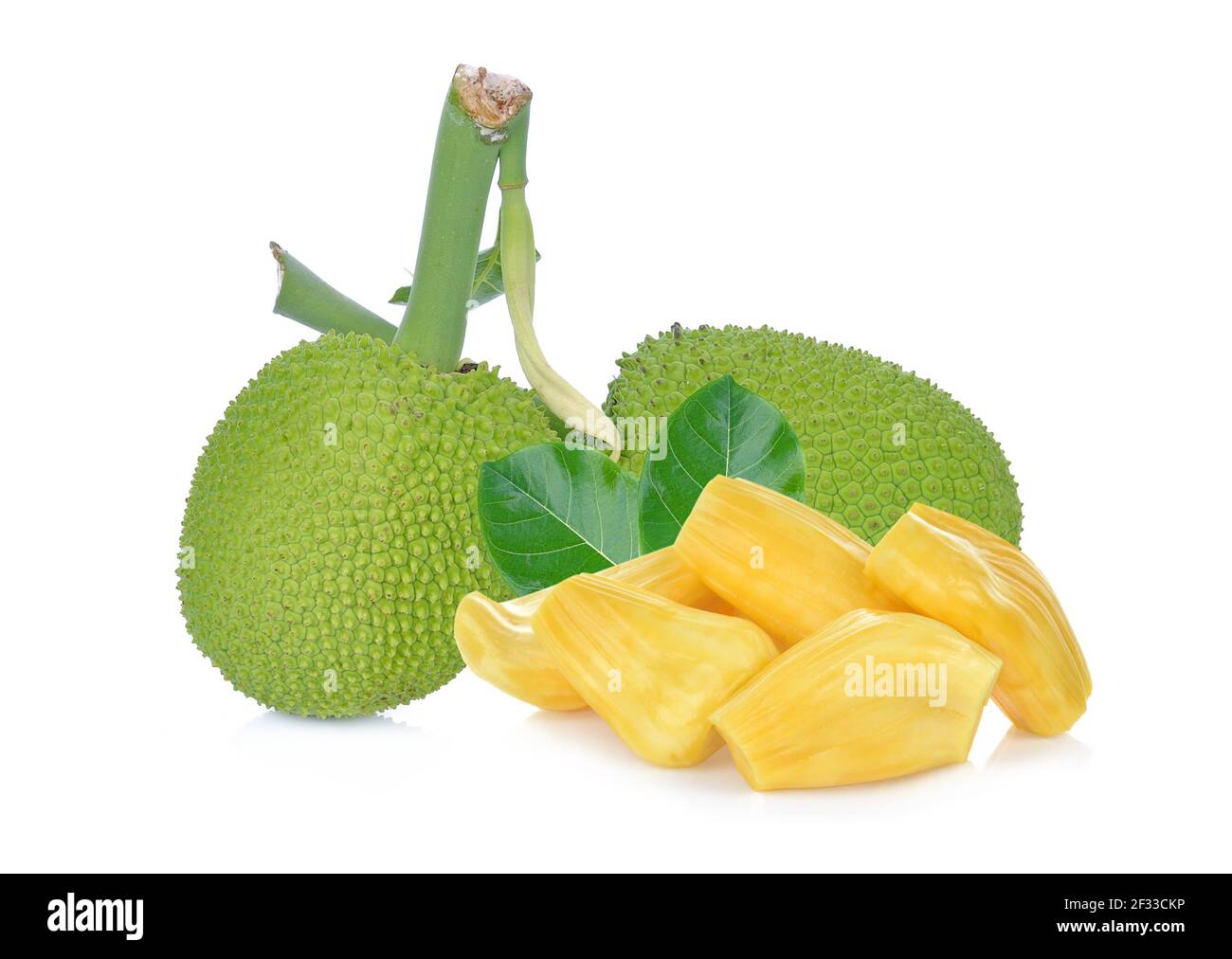 Jackfruit isolated on white background Stock Photo - Alamy