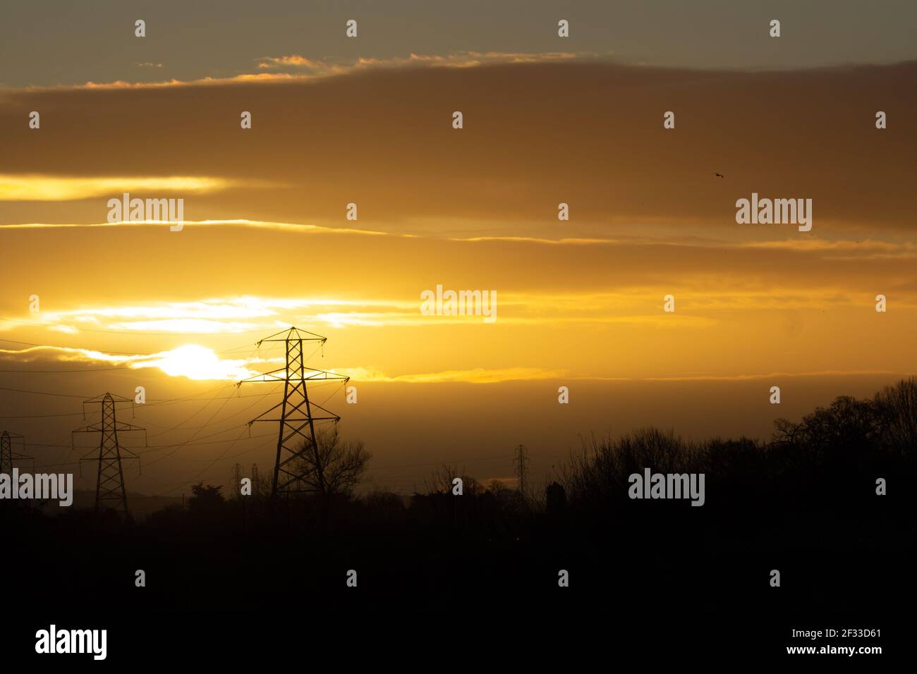 silhouette of power lines and trees at sunset Stock Photo - Alamy