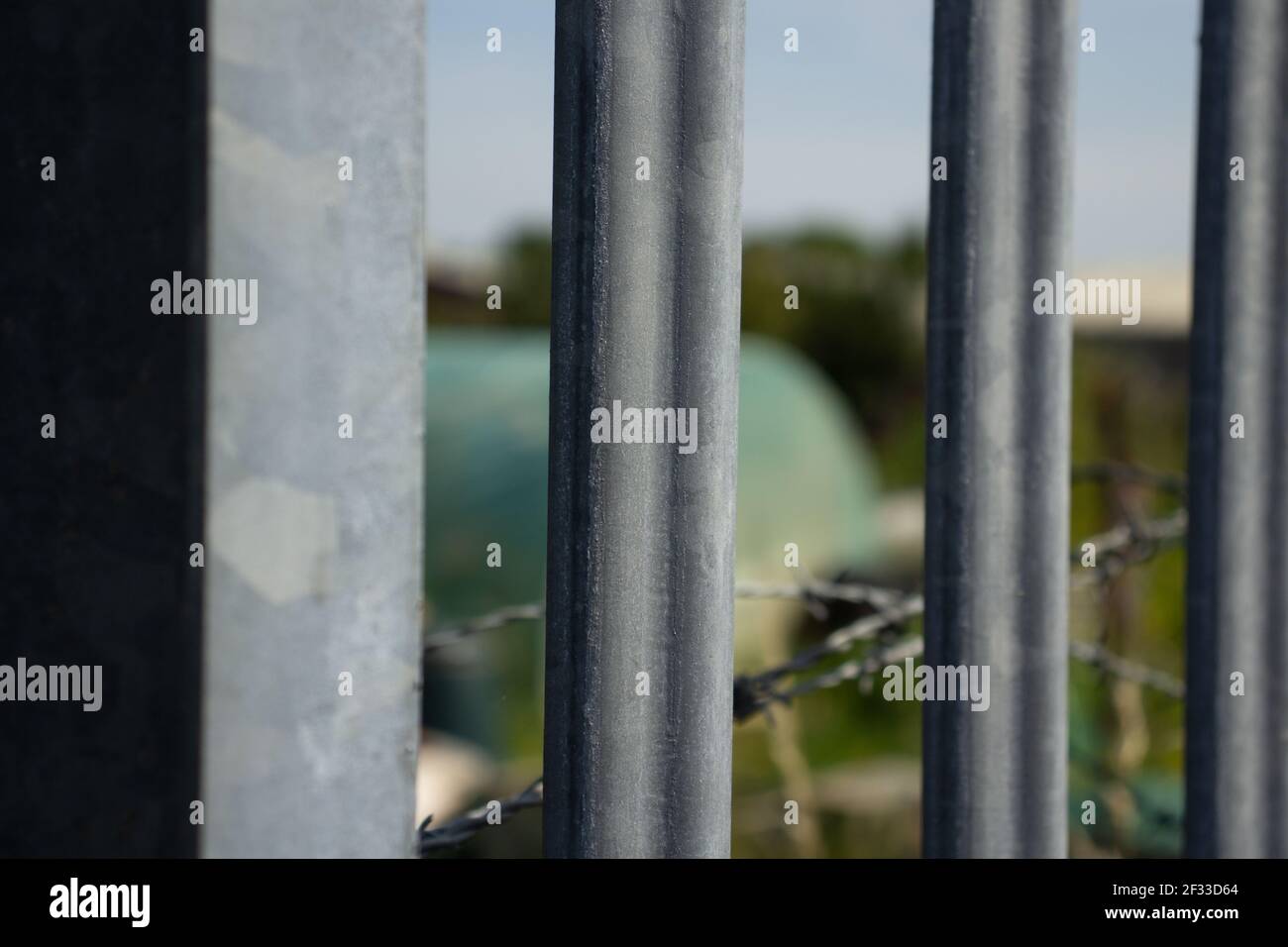 silver new security fence with barbed wire and green in the background ...