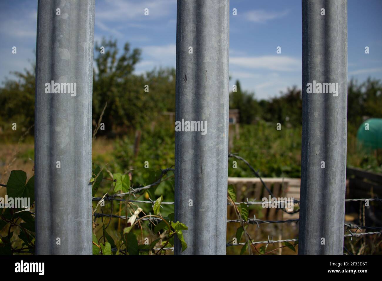 silver new security fence with barbed wire and greenery in the ...