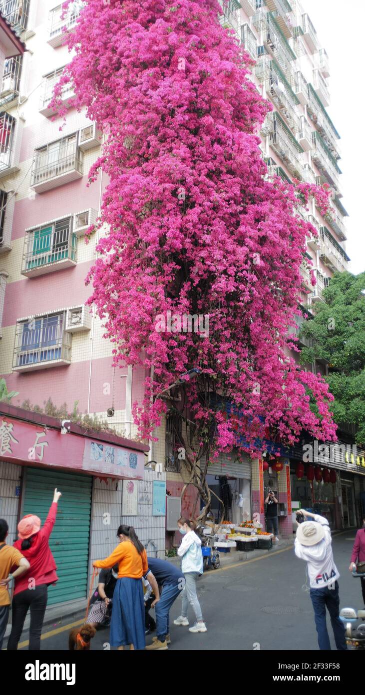 20 meters height hi-res stock photography and images - Alamy