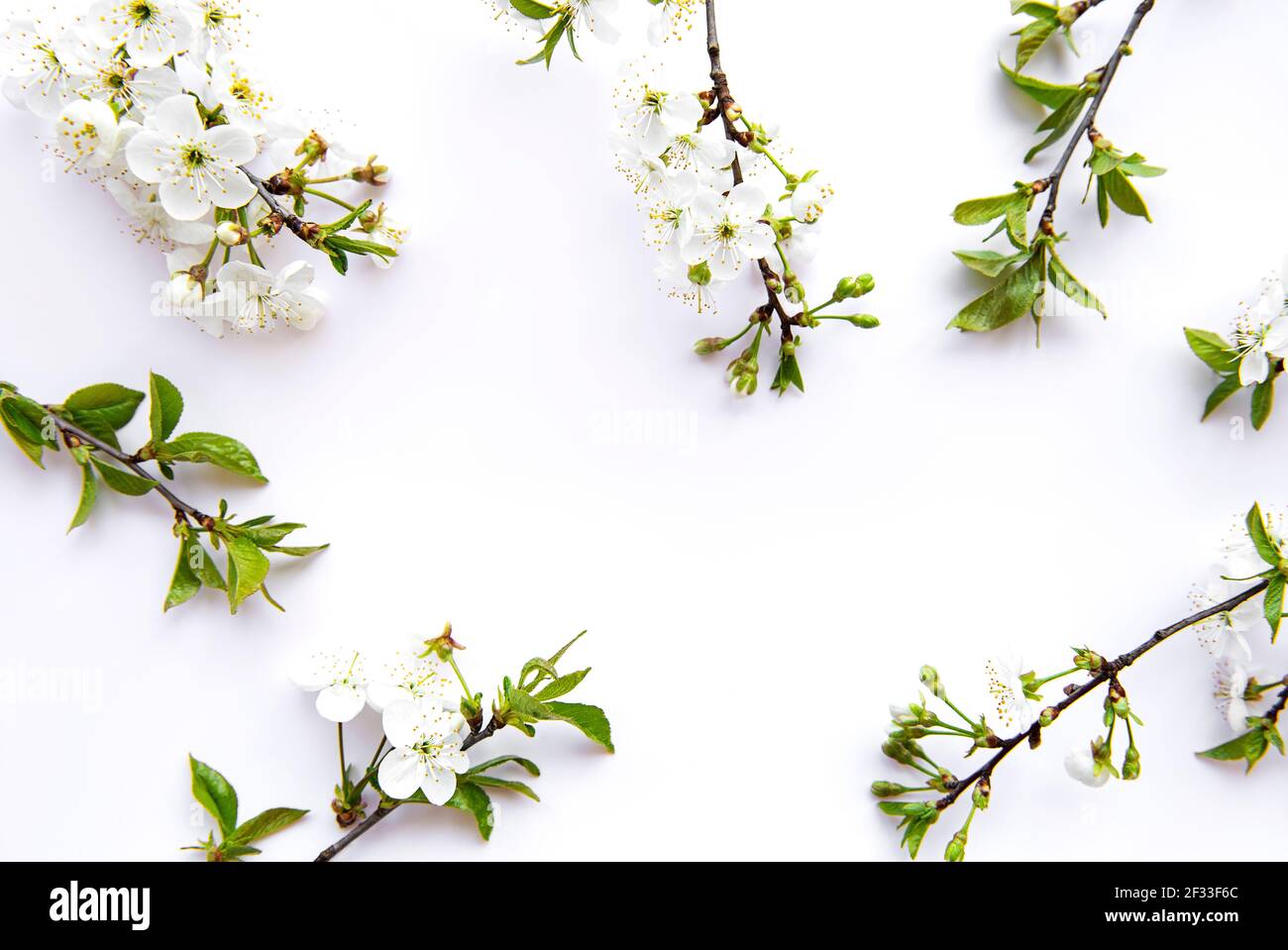 Spring border background with beautiful white flowering branches. White ...