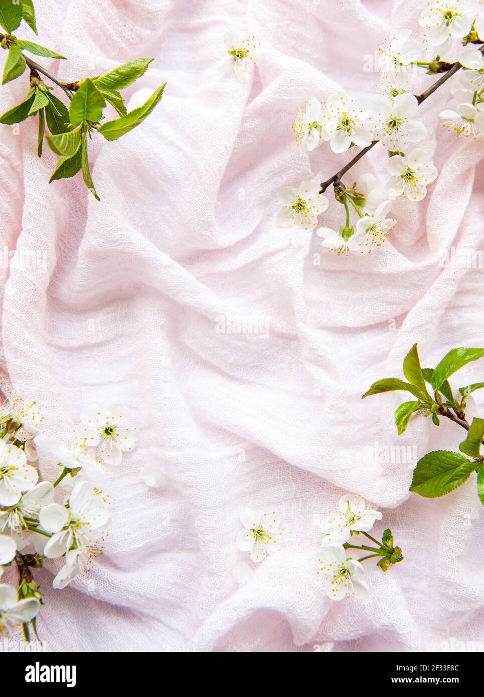 Pink fabric background with spring cherry blossom Stock Photo - Alamy