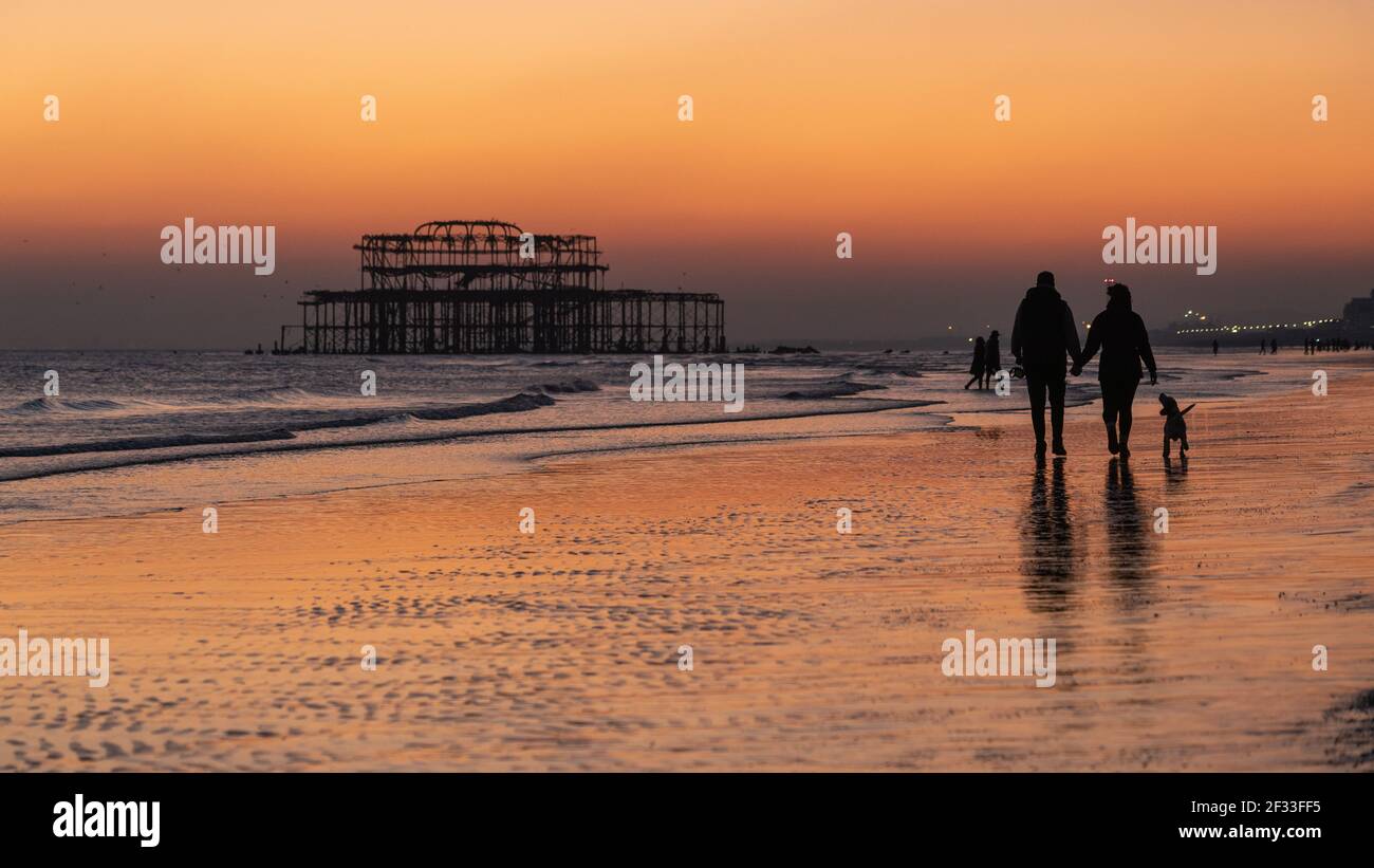 Brighton beach walking dog hi-res stock photography and images - Alamy