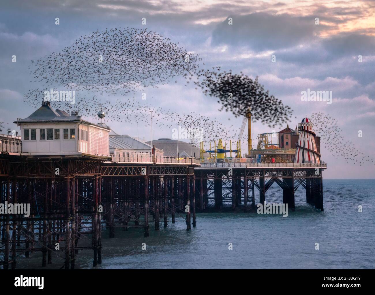 Brighton Palace Pier murmuration Stock Photo - Alamy