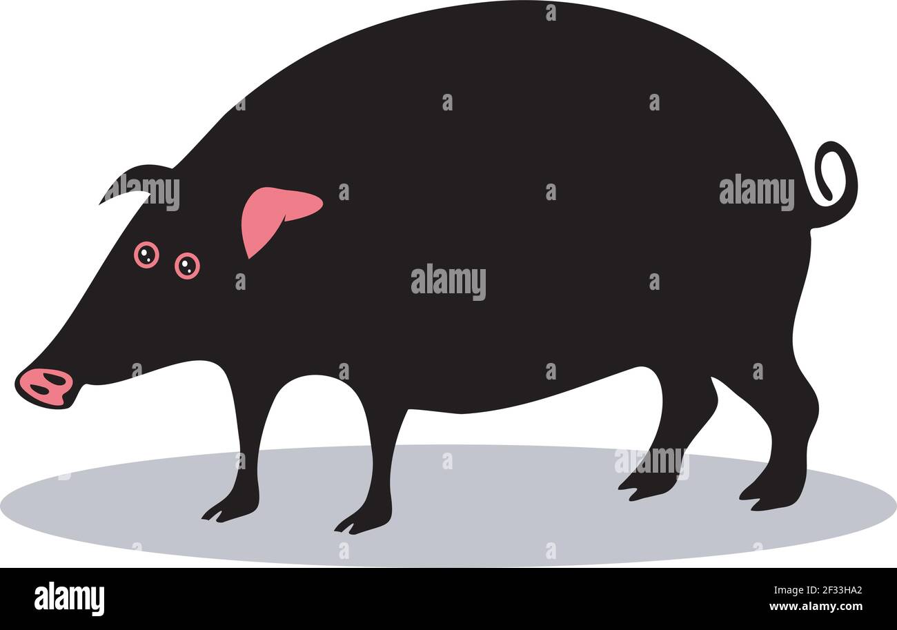 Black pig funny hi-res stock photography and images - Alamy