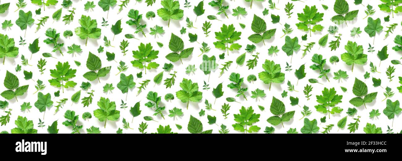 Nature Background Patterns Design