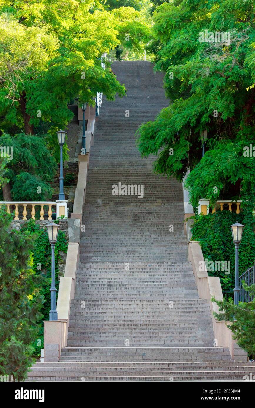 Steps in the park. A hard path ahead. Challenges and career growth ...