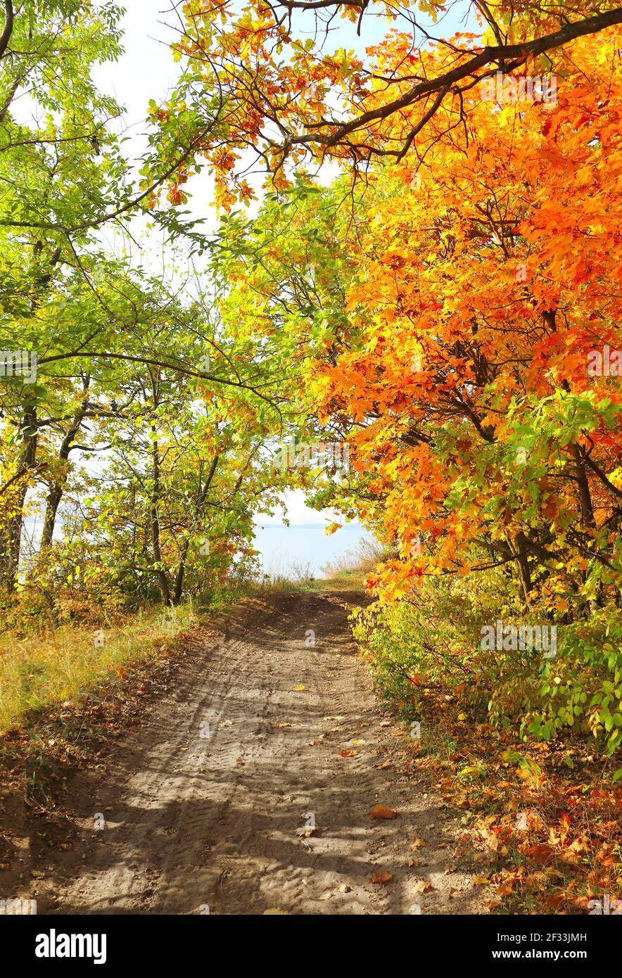 Calm fall season. Beautiful landscape with road in autumn forest ...
