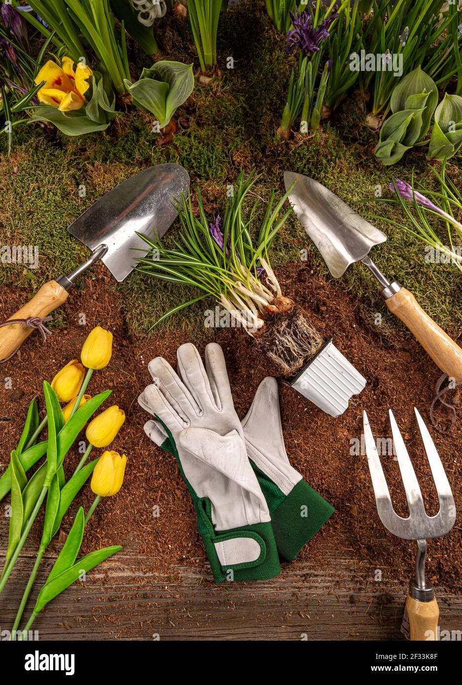 Gardening tools and spring flowers Stock Photo - Alamy