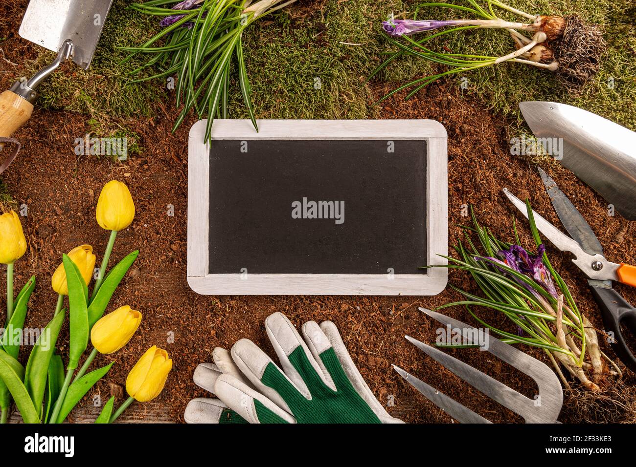 Gardening Tools And Supplies High Resolution Stock Photography and ...