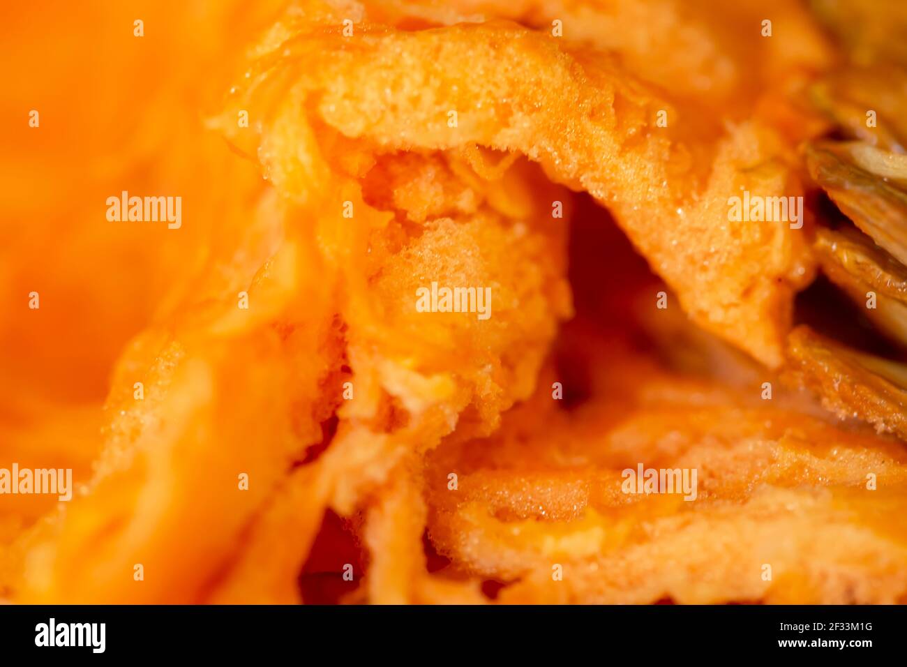 Pumpkin cucurbitaceae hi-res stock photography and images - Alamy