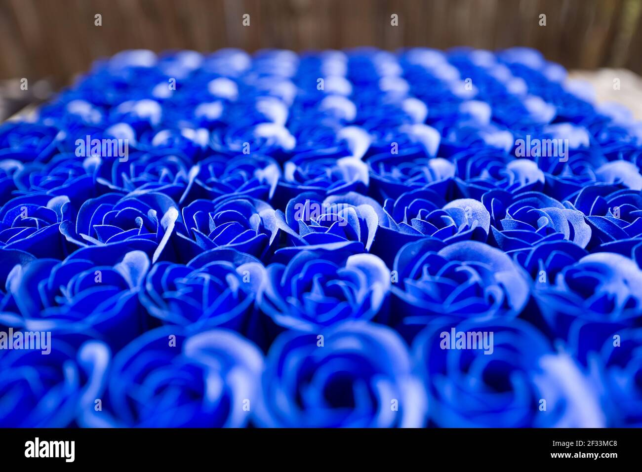 Heavenly roses hi-res stock photography and images - Alamy