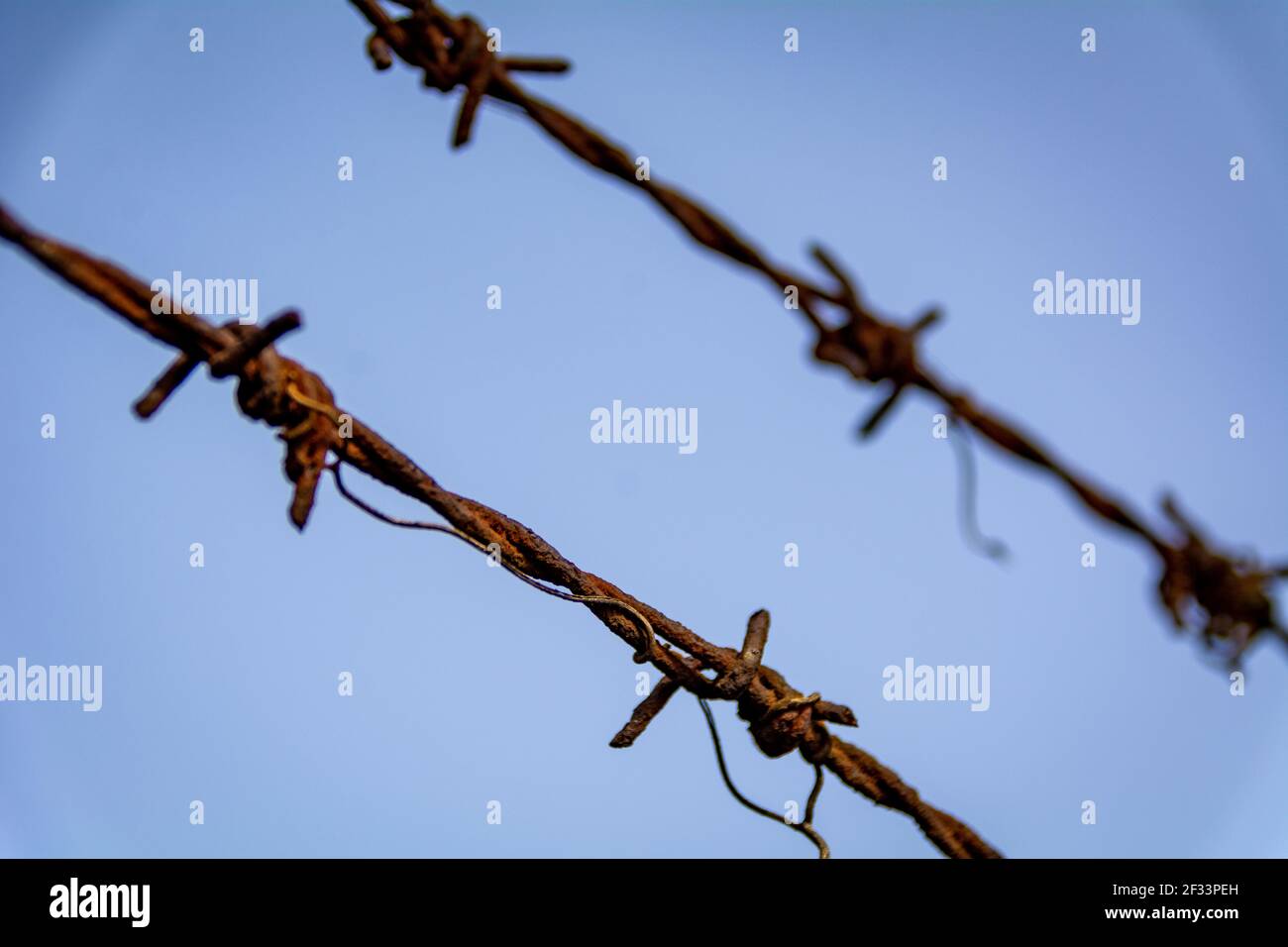Military base barbed wire hi-res stock photography and images - Alamy