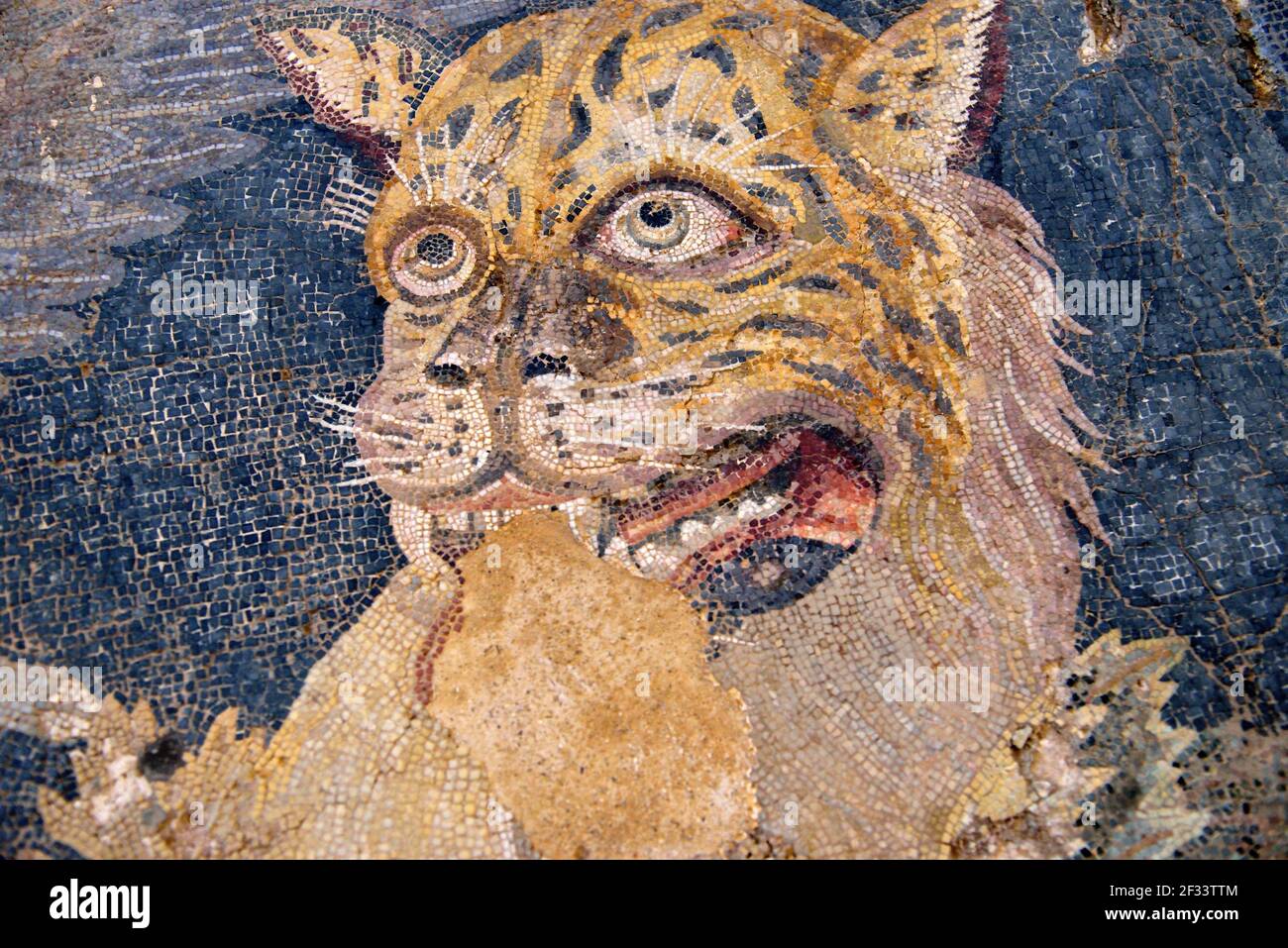 geography / travel, Greece, head of a leopard, floor mosaic from the ...