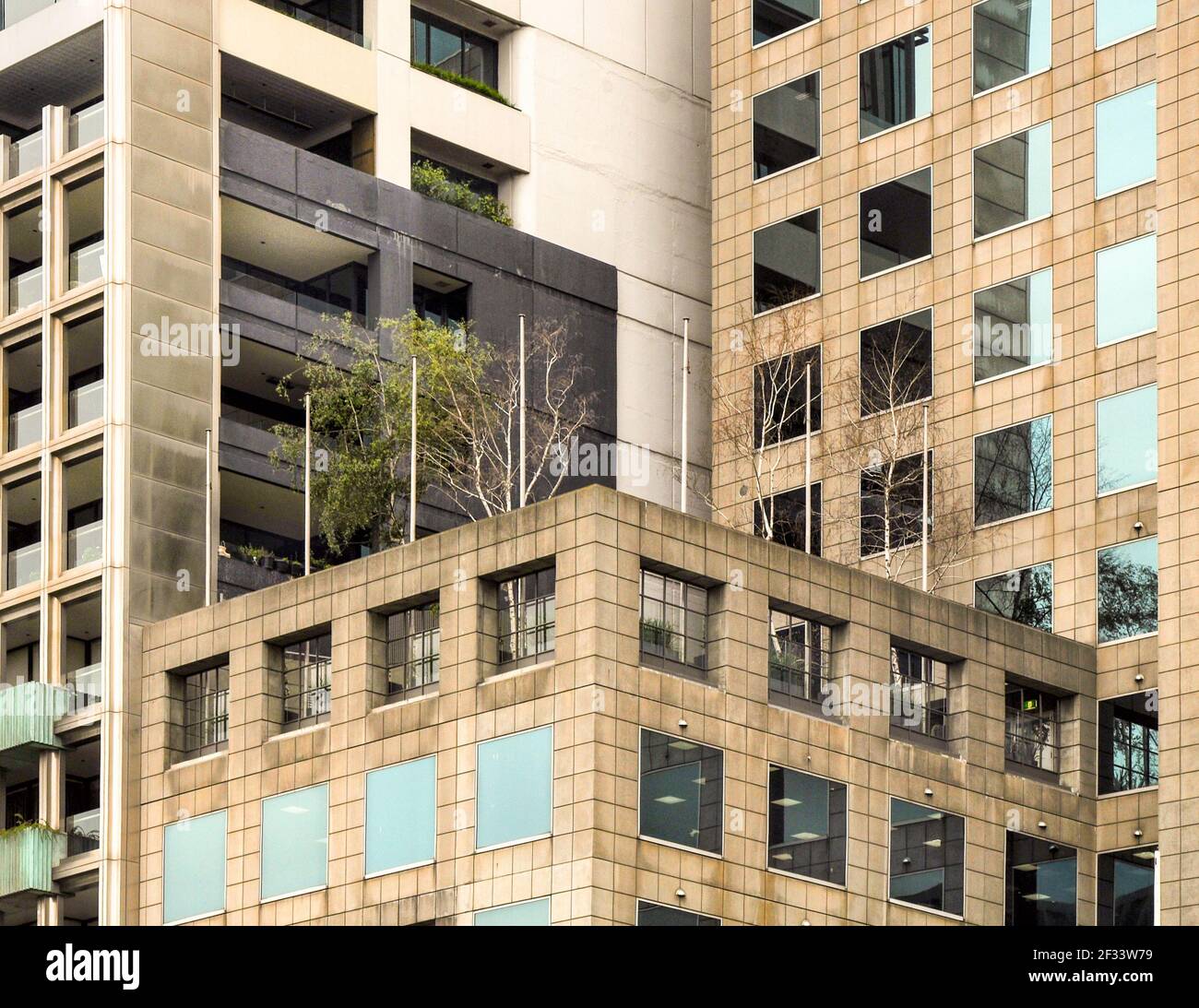 Dying trees city hi-res stock photography and images - Alamy