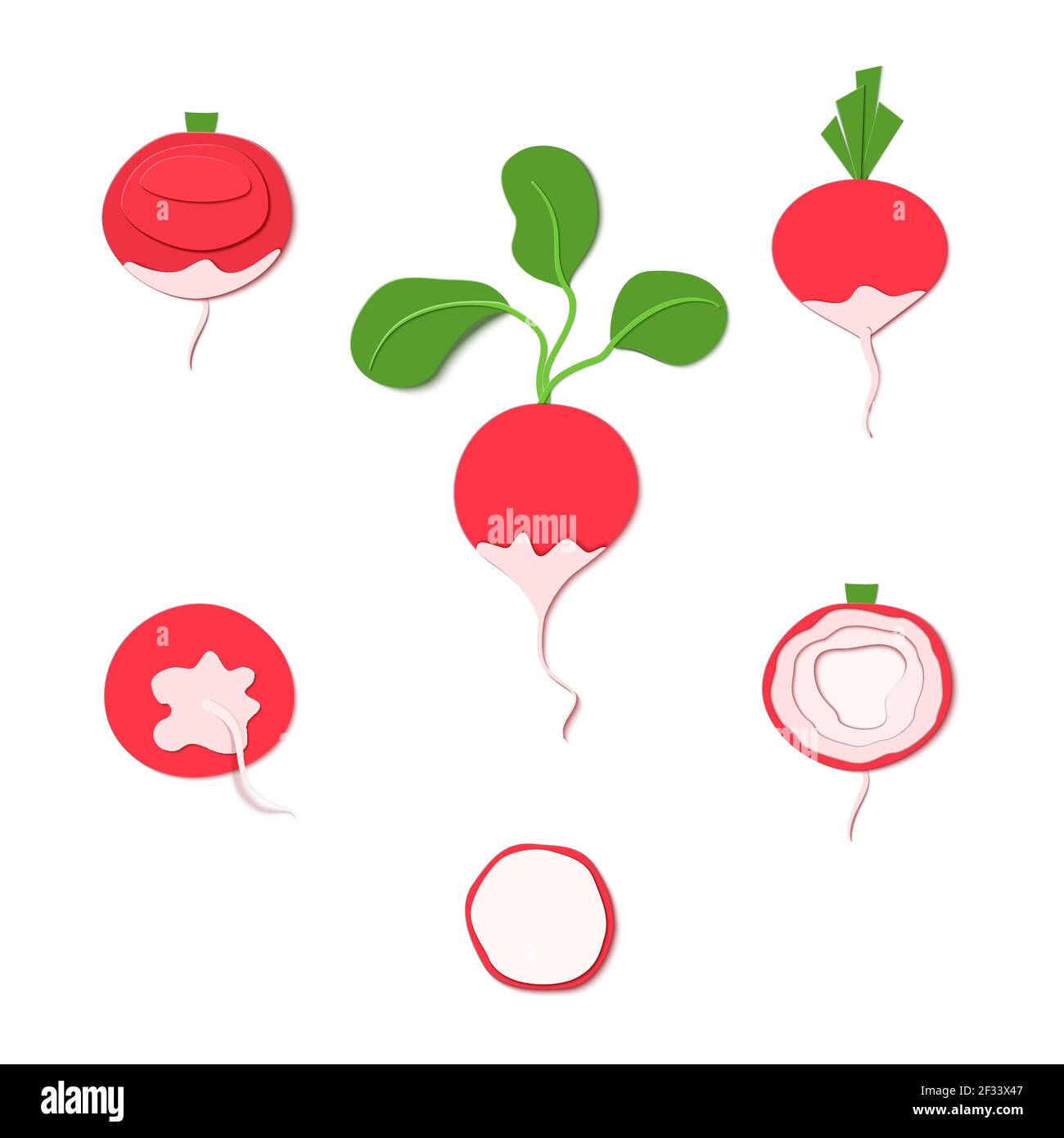 Set of paper cut red radish. Vector paper cut design in the form of ...