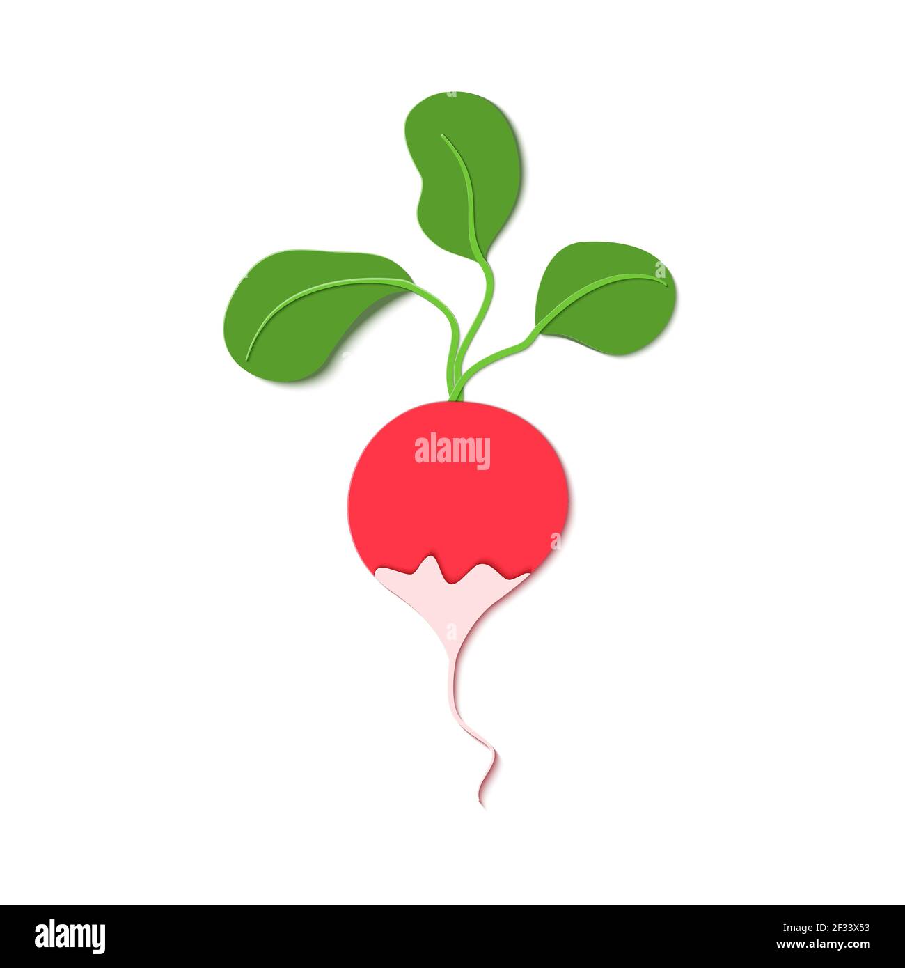 Paper cut style red radish. Vector paper cut design in the form of ripe ...