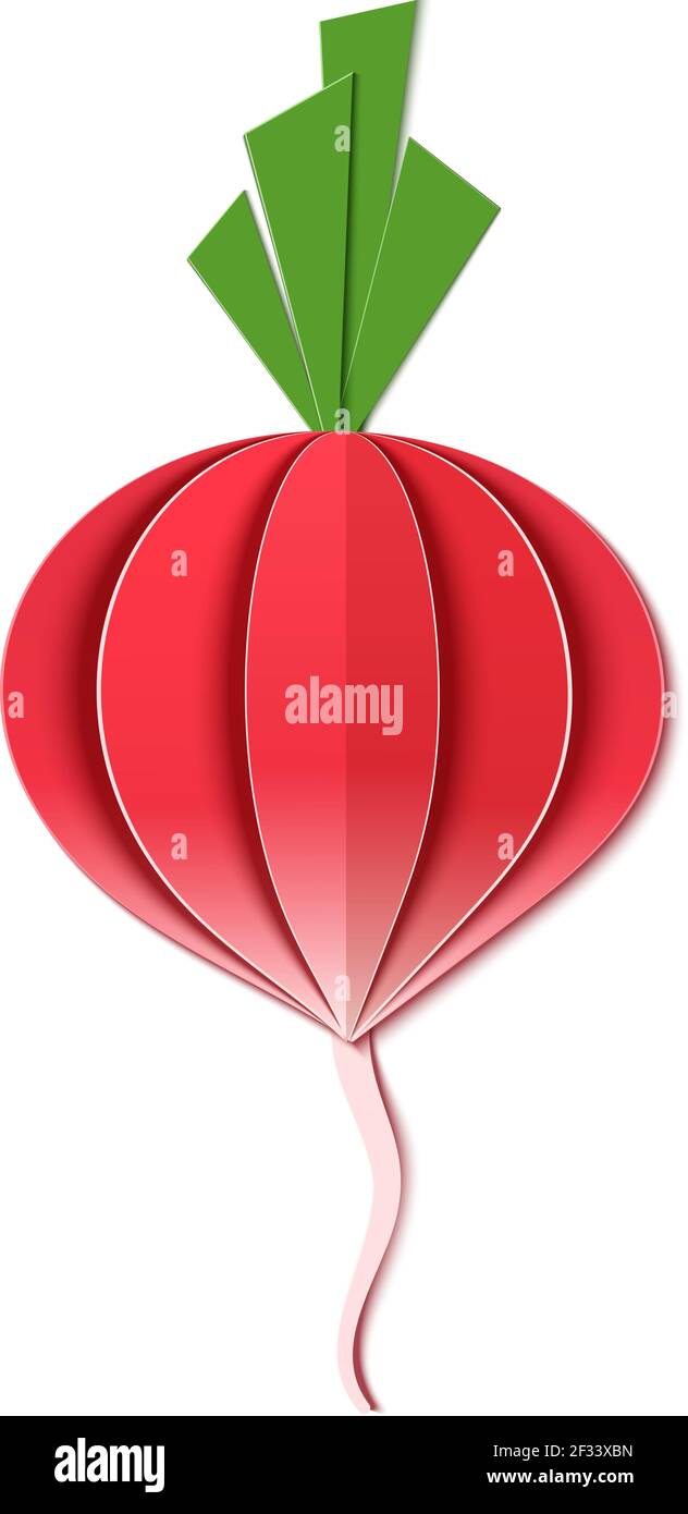 Paper cut style red radish. Vector paper cut design in the form of ripe ...