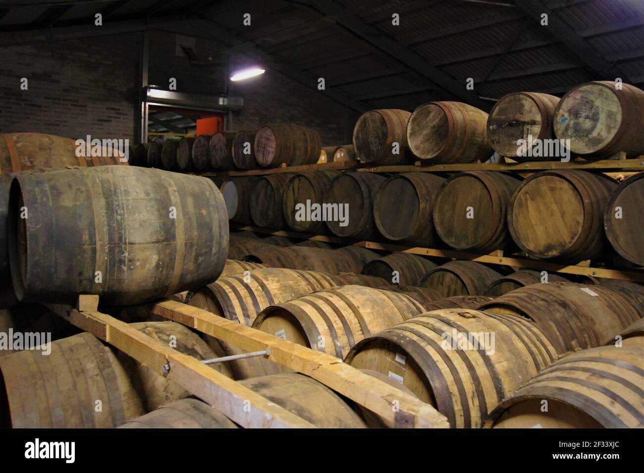 Whiskey barrels in a whiskey distillery Stock Photo - Alamy