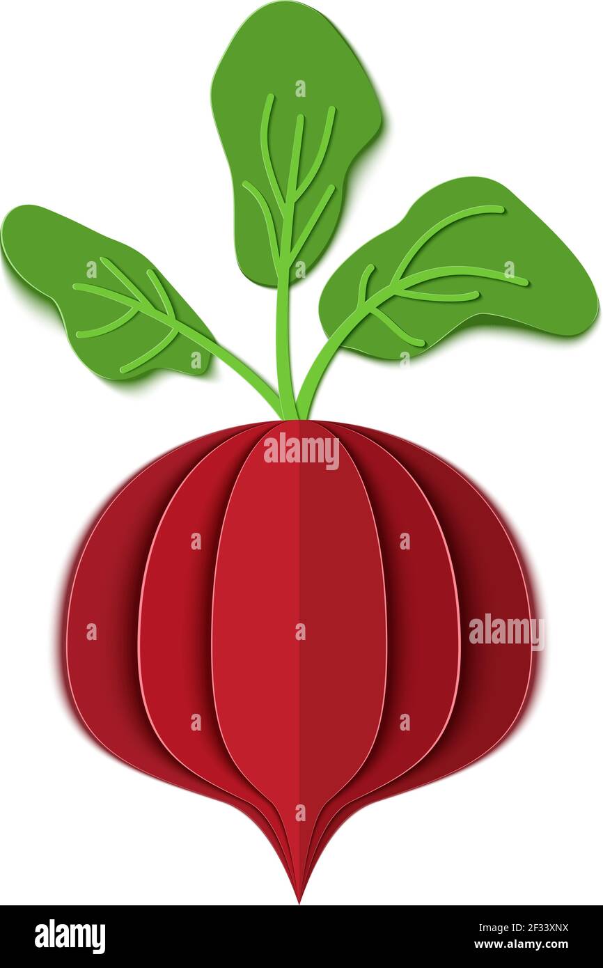 Paper cut red beet. Vector paper cut design in the form of ripe whole ...
