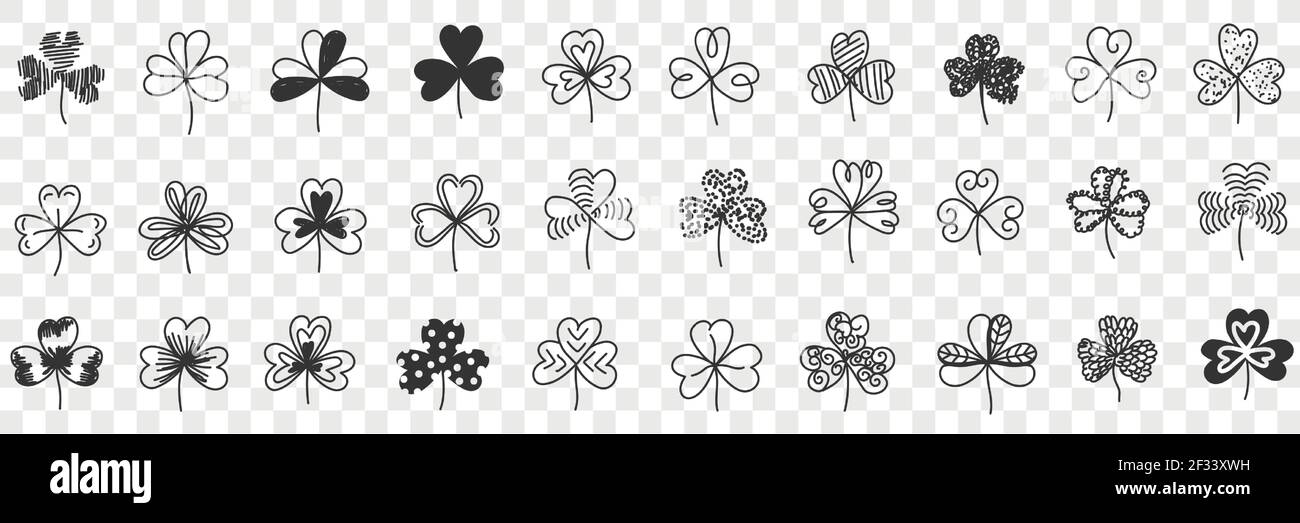Clover plant pattern doodle set. Collection of hand drawn natural ...