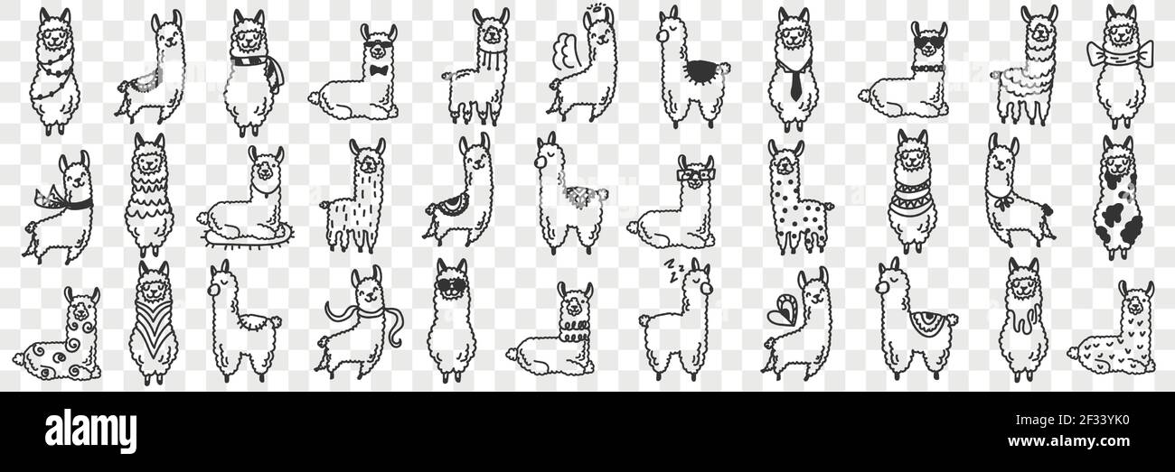 Funny alpacas animals doodle set. Collection of hand drawn various ...