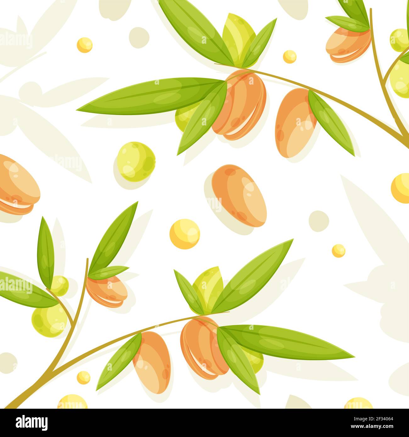 Detailed argan oil background illustrated Vector illustration Stock ...