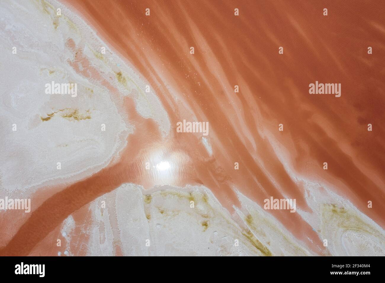 Salt lagoon namibia hi-res stock photography and images - Alamy