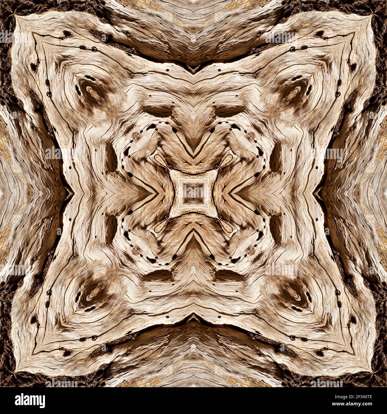 Gnarled wood hi-res stock photography and images - Alamy