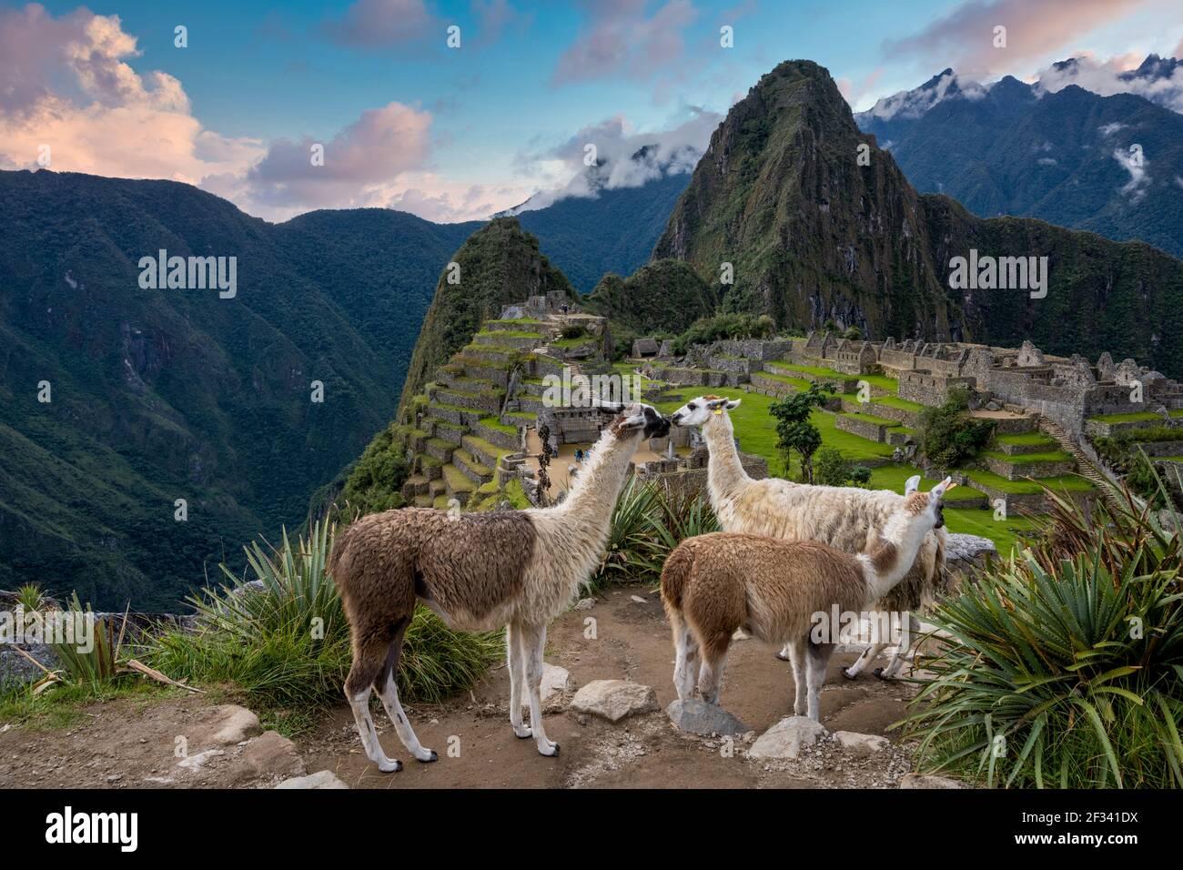 As a UNESCO World Heritage site, Machu Picchu is one of the few ...
