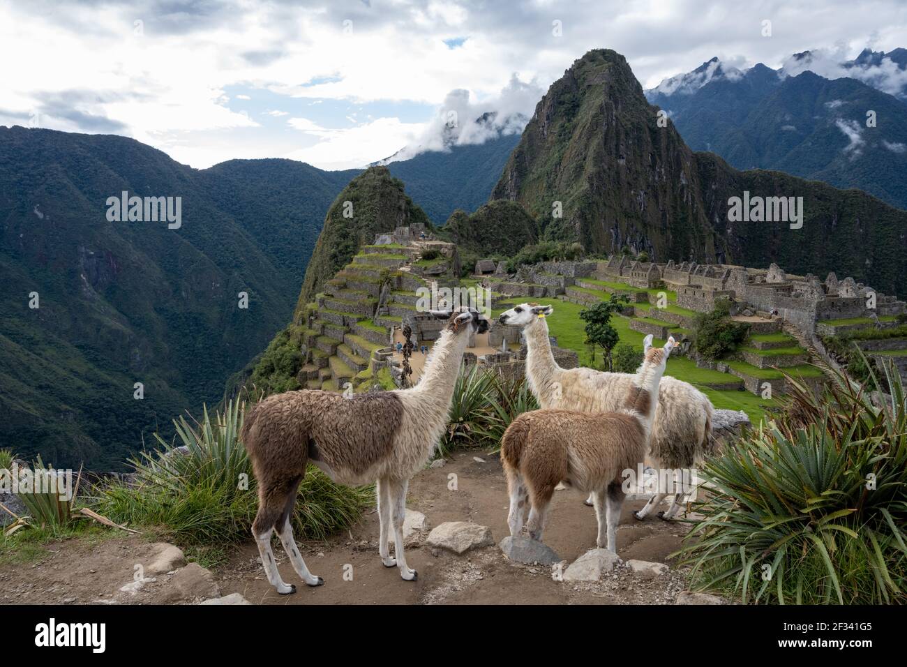 As a UNESCO World Heritage site, Machu Picchu is one of the few ...