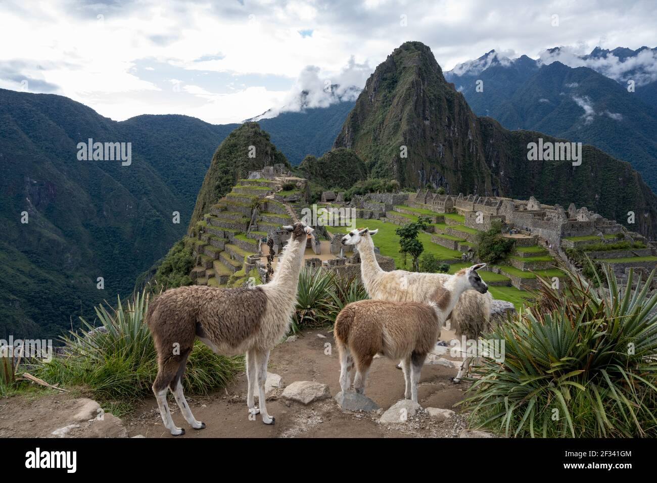 As a UNESCO World Heritage site, Machu Picchu is one of the few ...