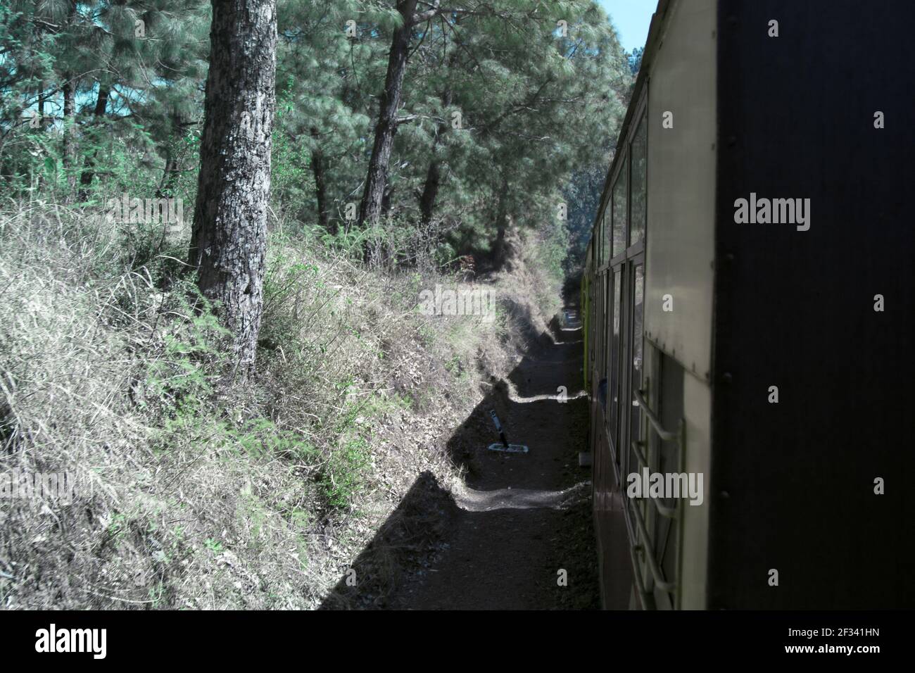 Railway in the Himalayas. The train goes among the mountains and ...