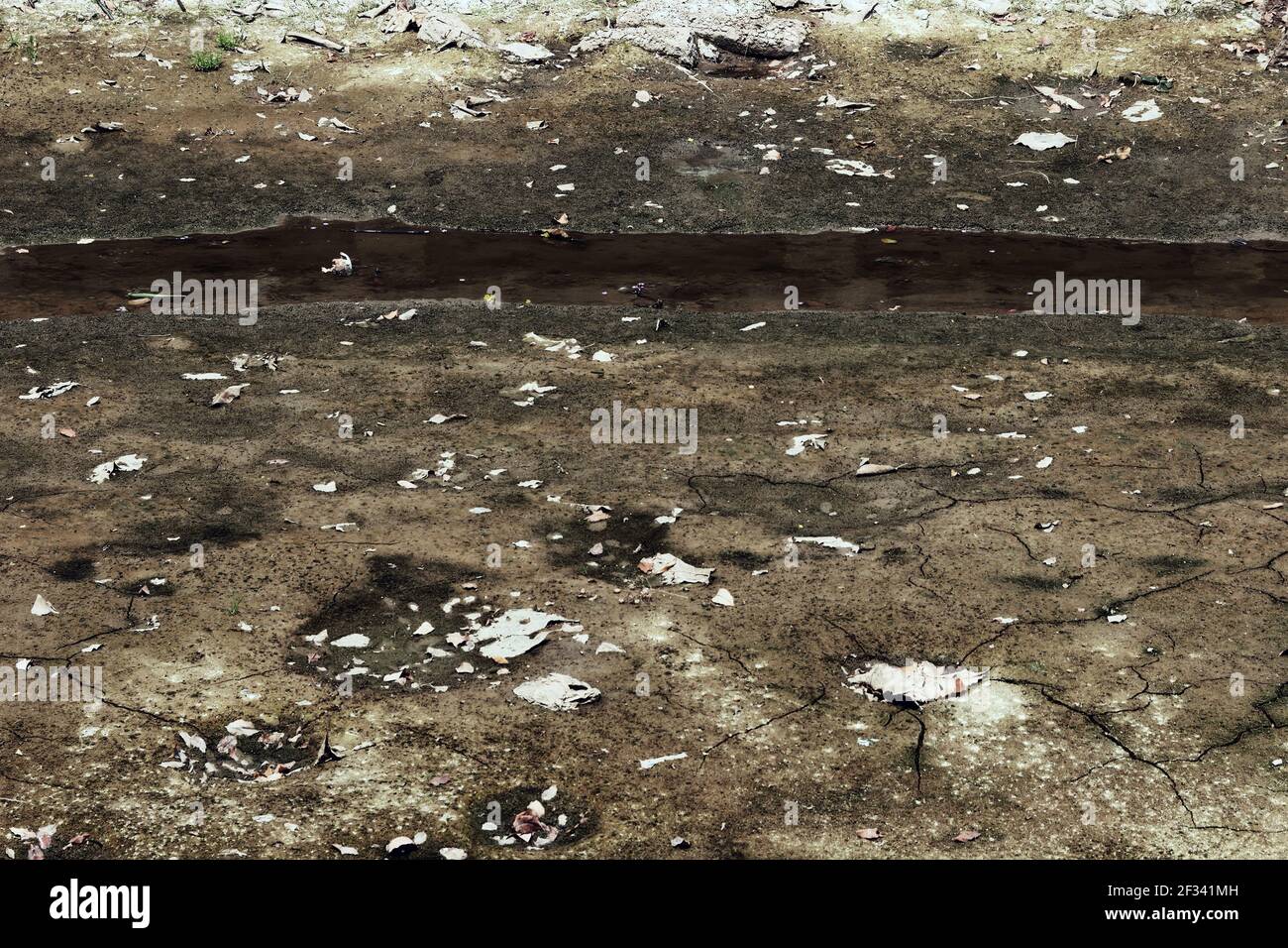 Poisoned earth. The cracked muddy ground is a poisonous stream ...