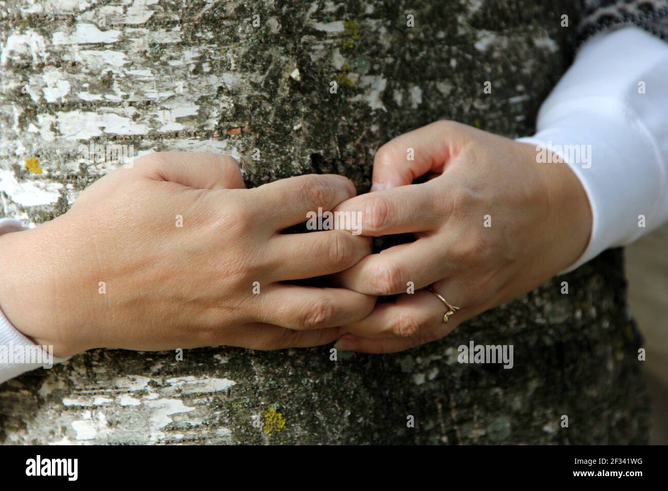 Integrity forest hi-res stock photography and images - Alamy