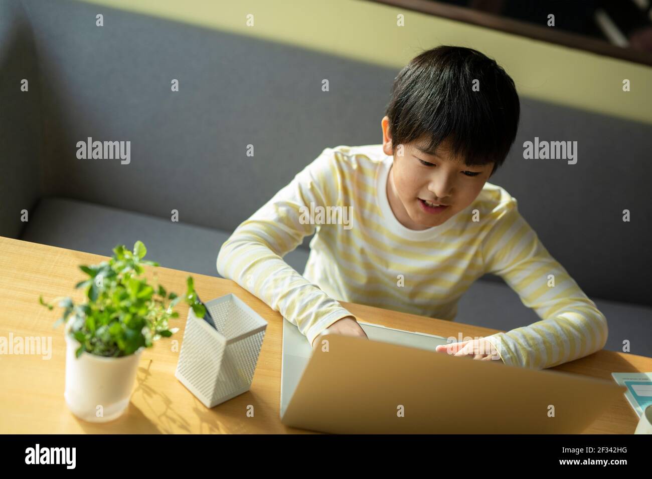 Boy Learning with PC Stock Photo - Alamy